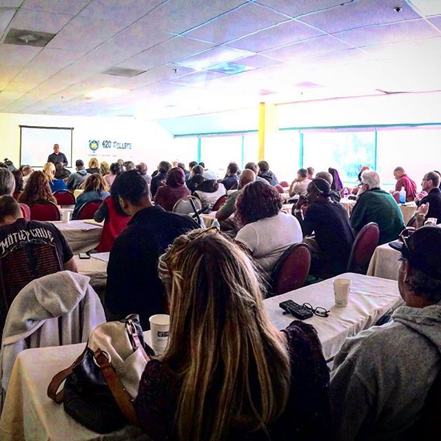 California cannabis business permits | 420 College