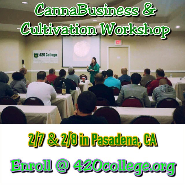 Accounting for cannabis business | 420 College